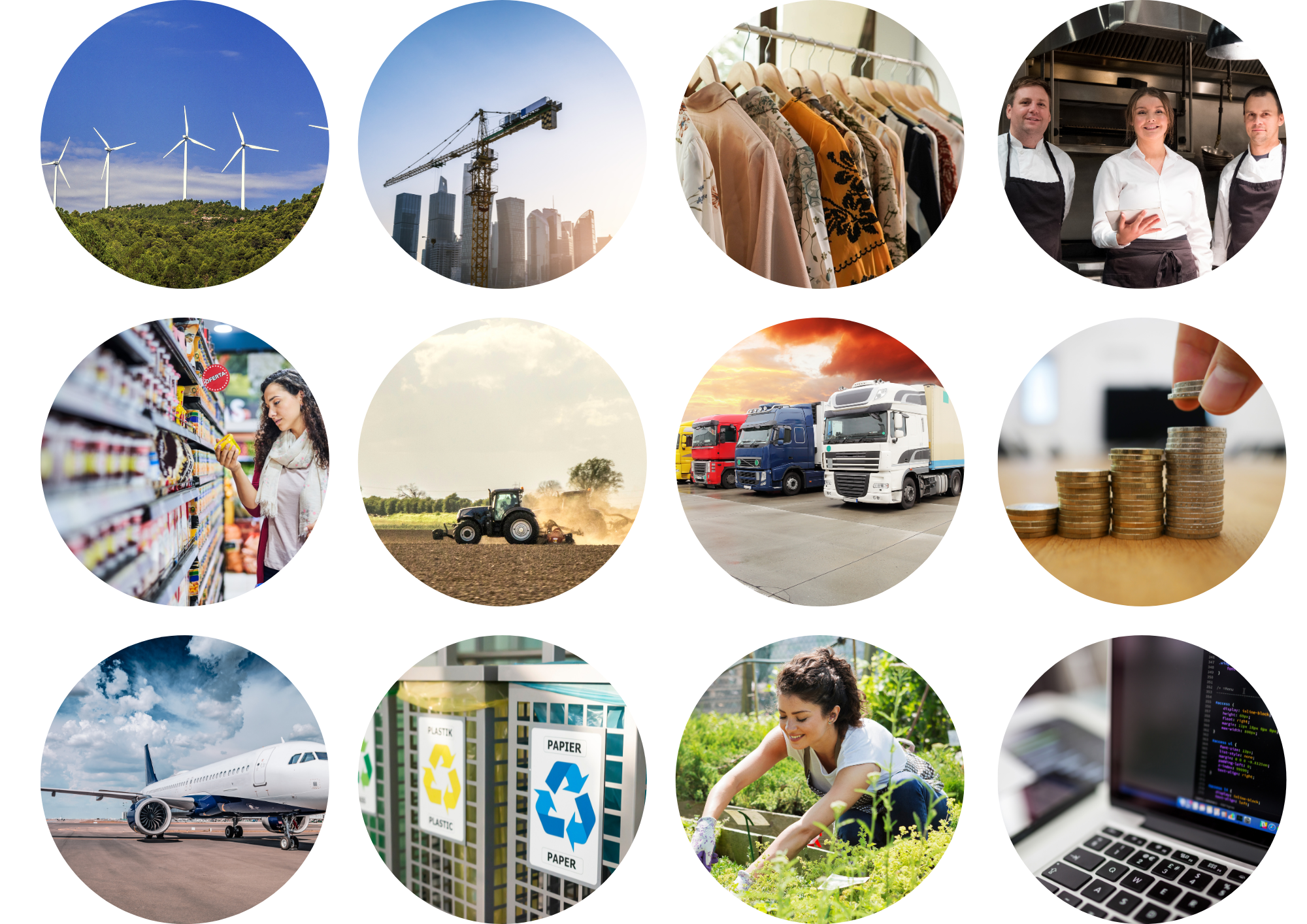 Roadmap to nature positive – Business for Biodiversity Ireland